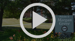 Morgan Grove